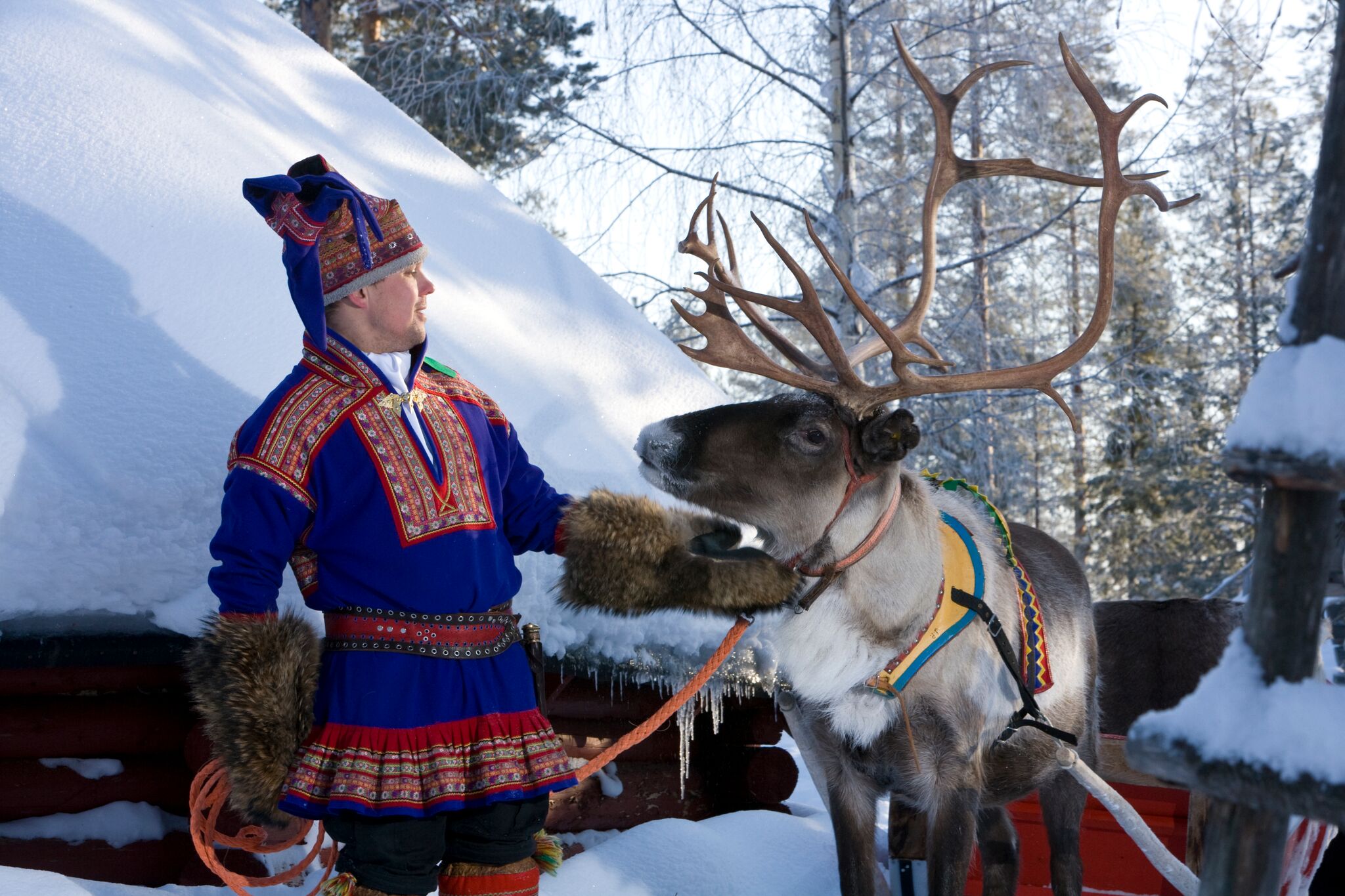 Full Arctic Experience - Taxari Travel Agency Lapland